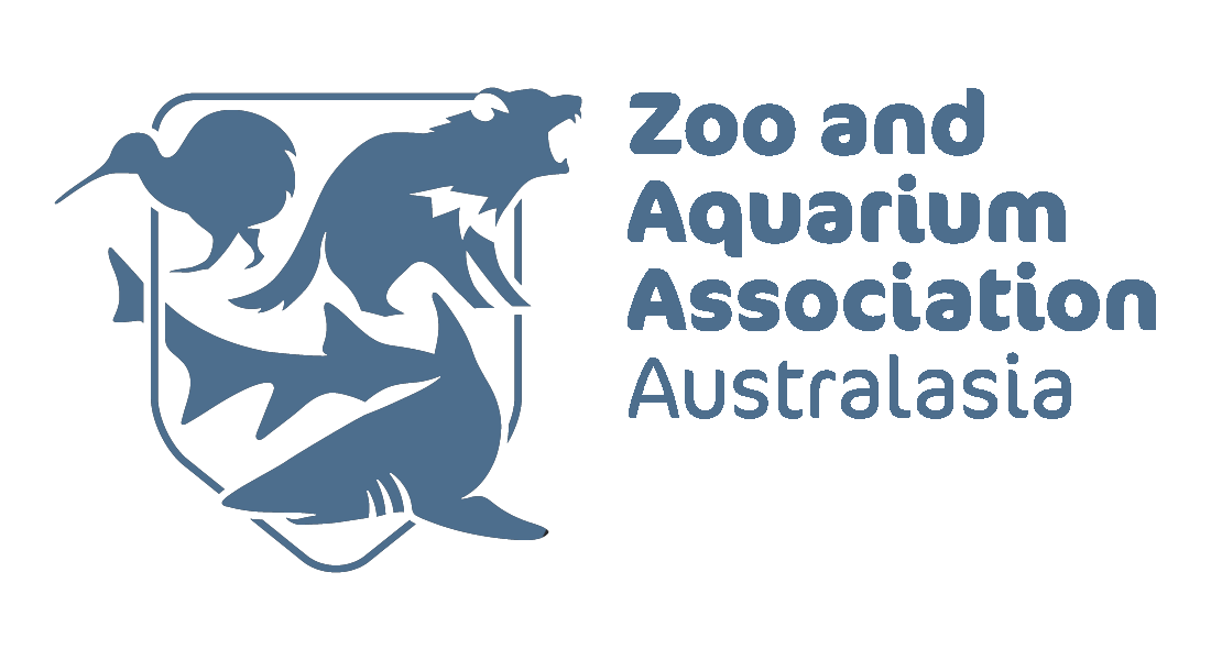 Pet Travel Crate Hire - Airline Approved - Jetpets AU