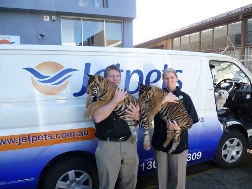 All Creatures Great And Small - Jetpets AU