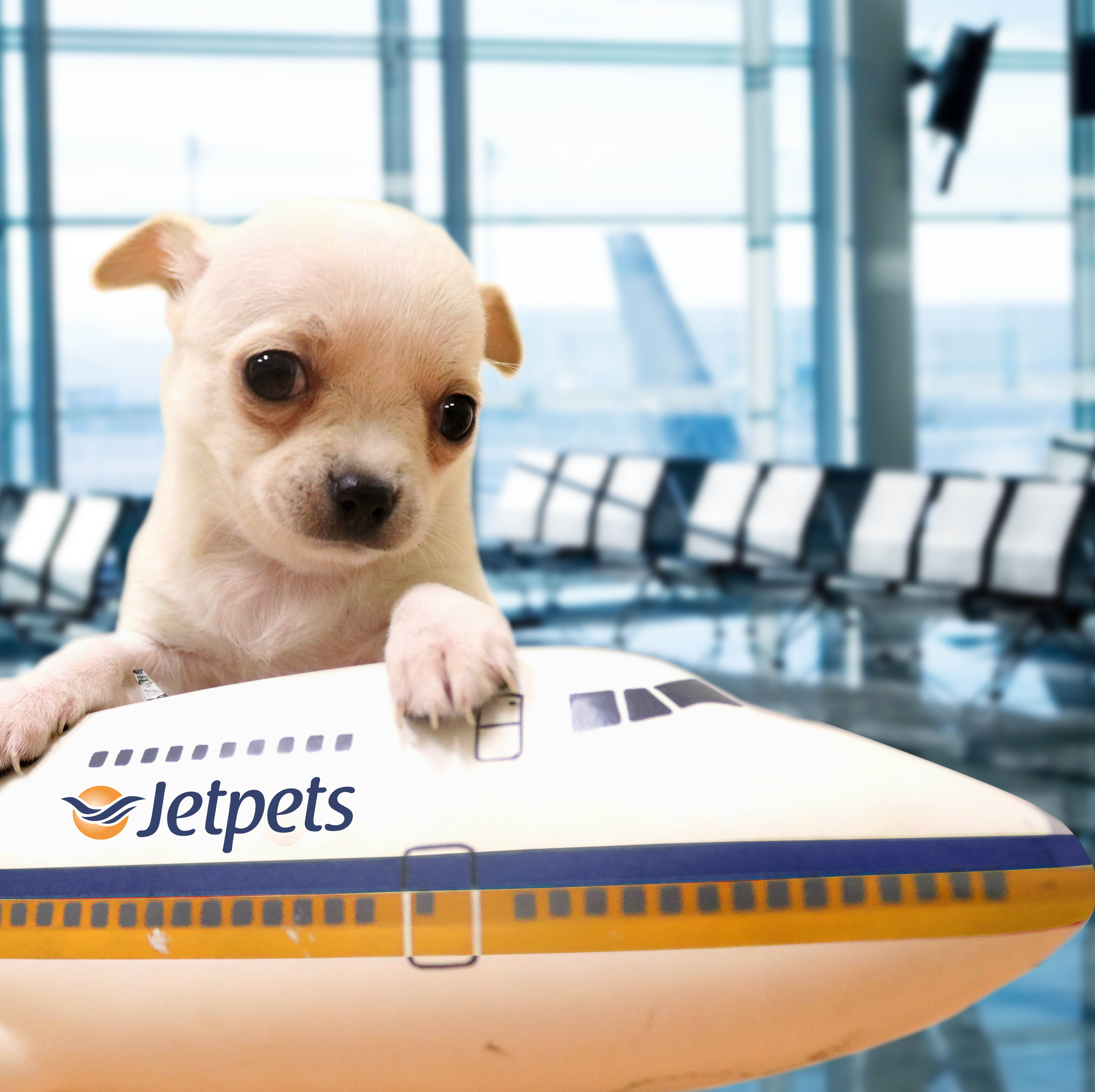 Jetpets Australia