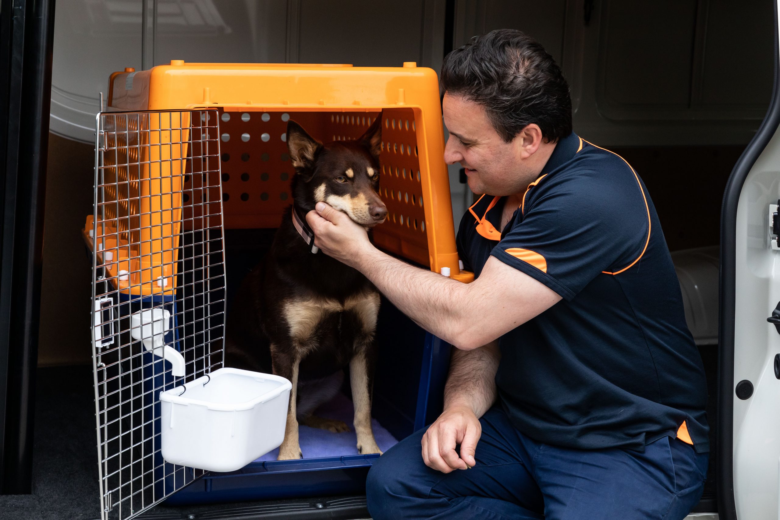 Our Pet Handlers & Pet Transport Fleet | Jetpets AU
