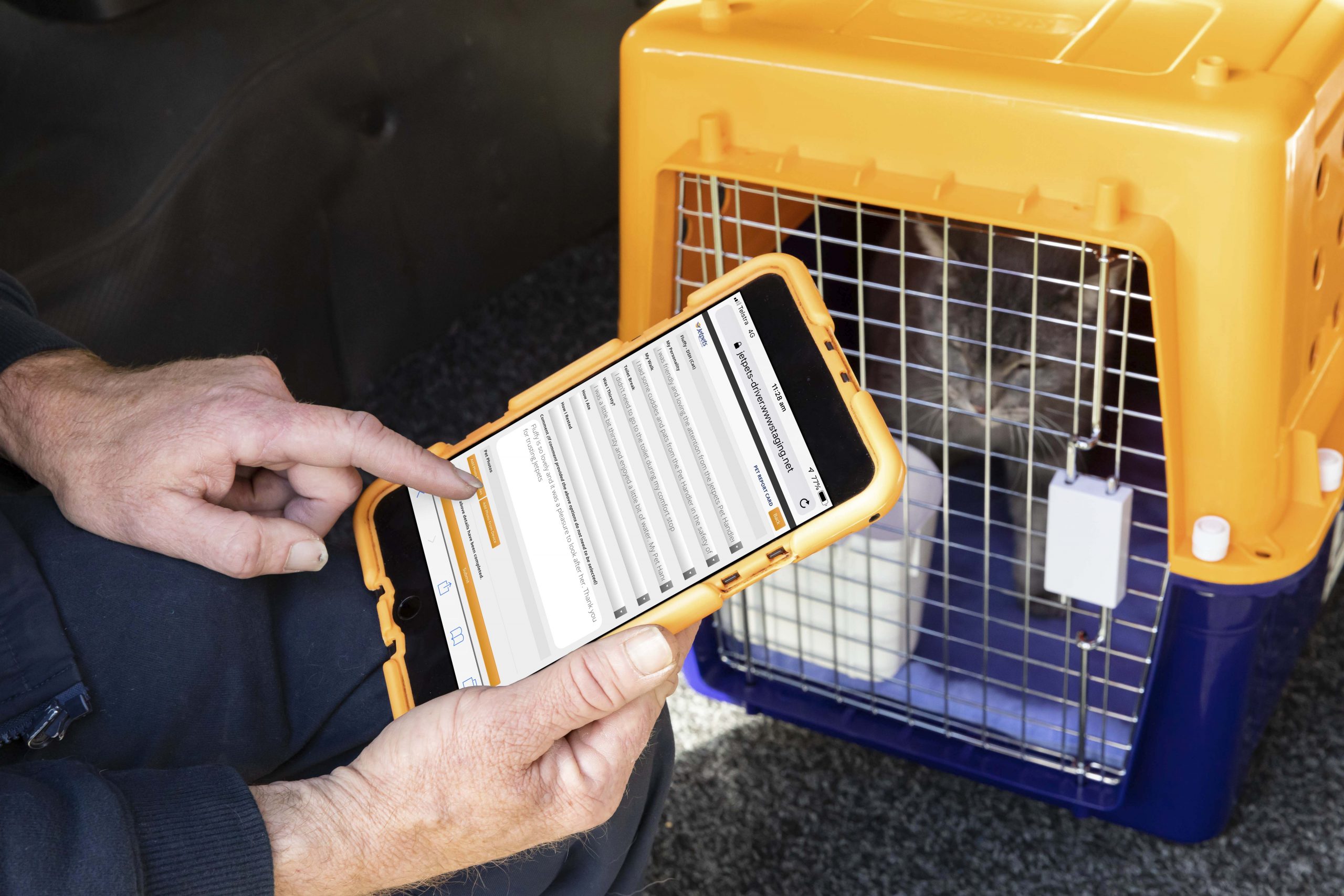 Our Pet Handlers & Pet Transport Fleet | Jetpets AU