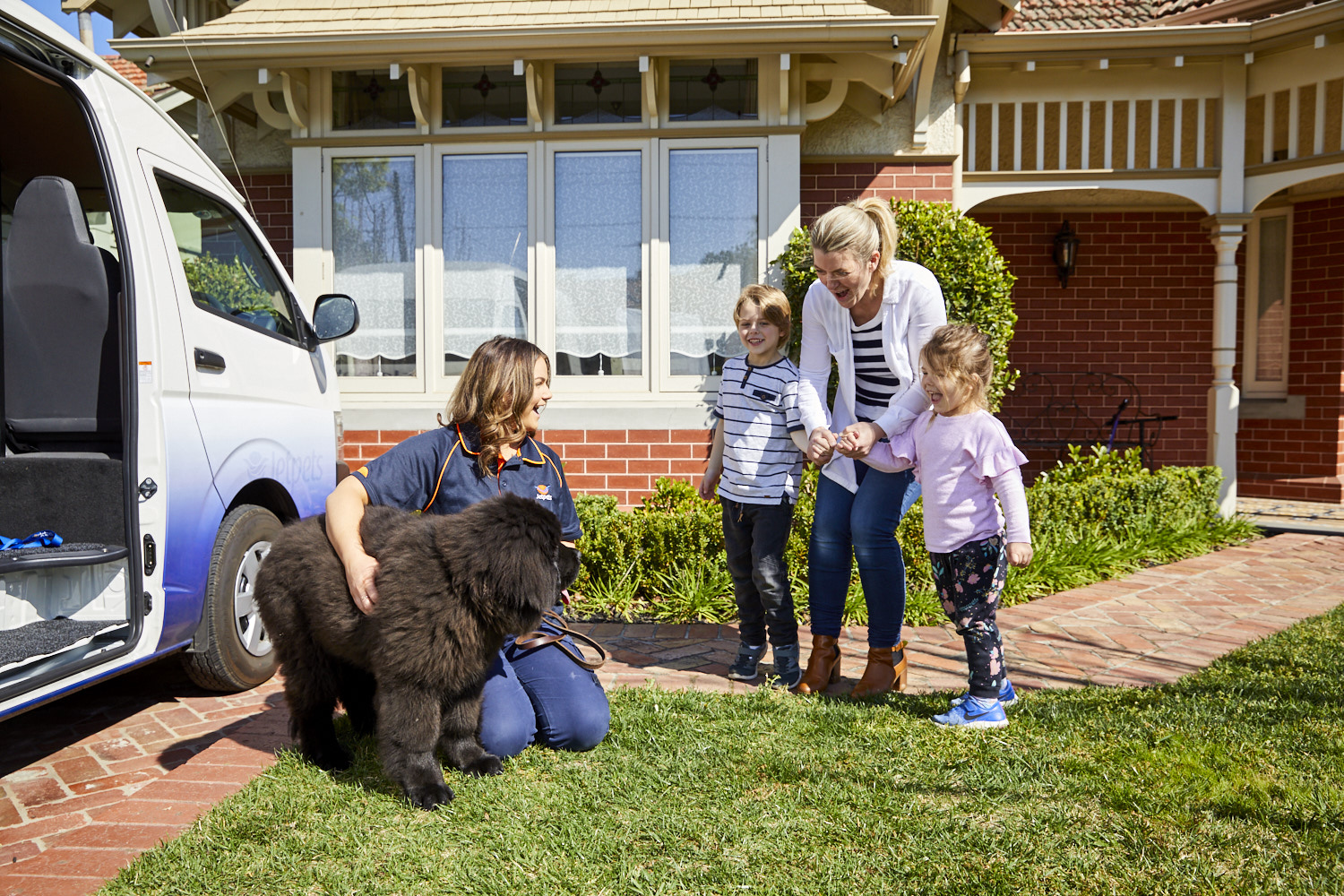 IATA CEIV Certification for Live Animals | Jetpets AU