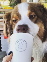 The Best Pet Friendly Wineries to Visit in the Yarra Valley and Hunter ...