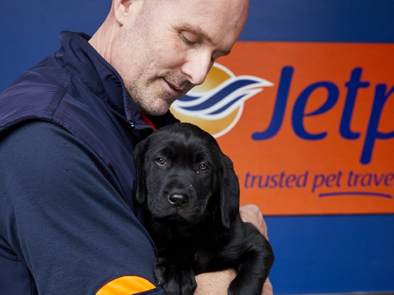 Jetpets Careers - Jetpets AU
