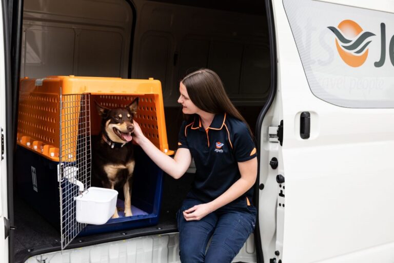 Jetpets Receives IATA CEIV Certification for Live Animals - Jetpets AU