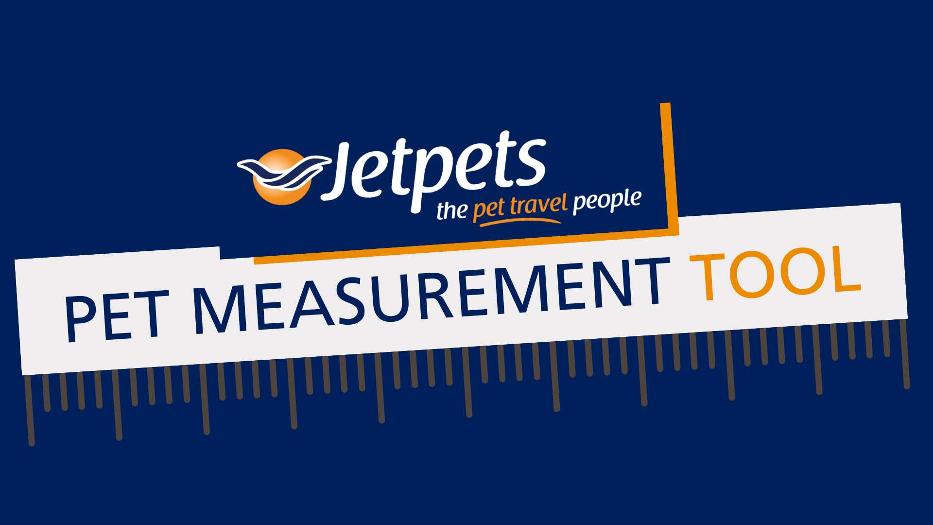 How to Measure Your Pet? - Jetpets AU
