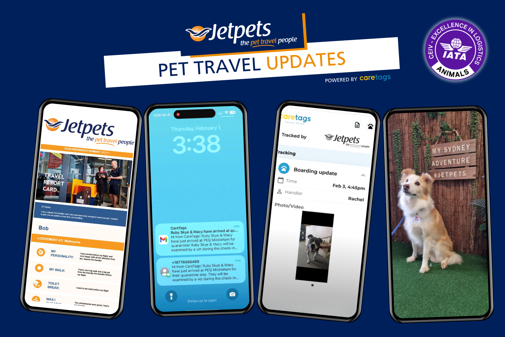Pet Transport Services | Pet Travel for Dogs & Cats | Jetpets AU